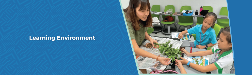 Learning Environment - The Edu Experience